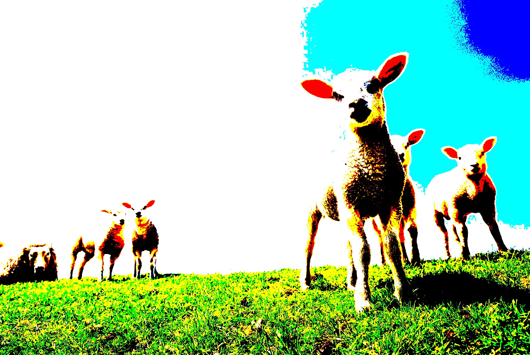 Rapaille - Serenes Forest Forums